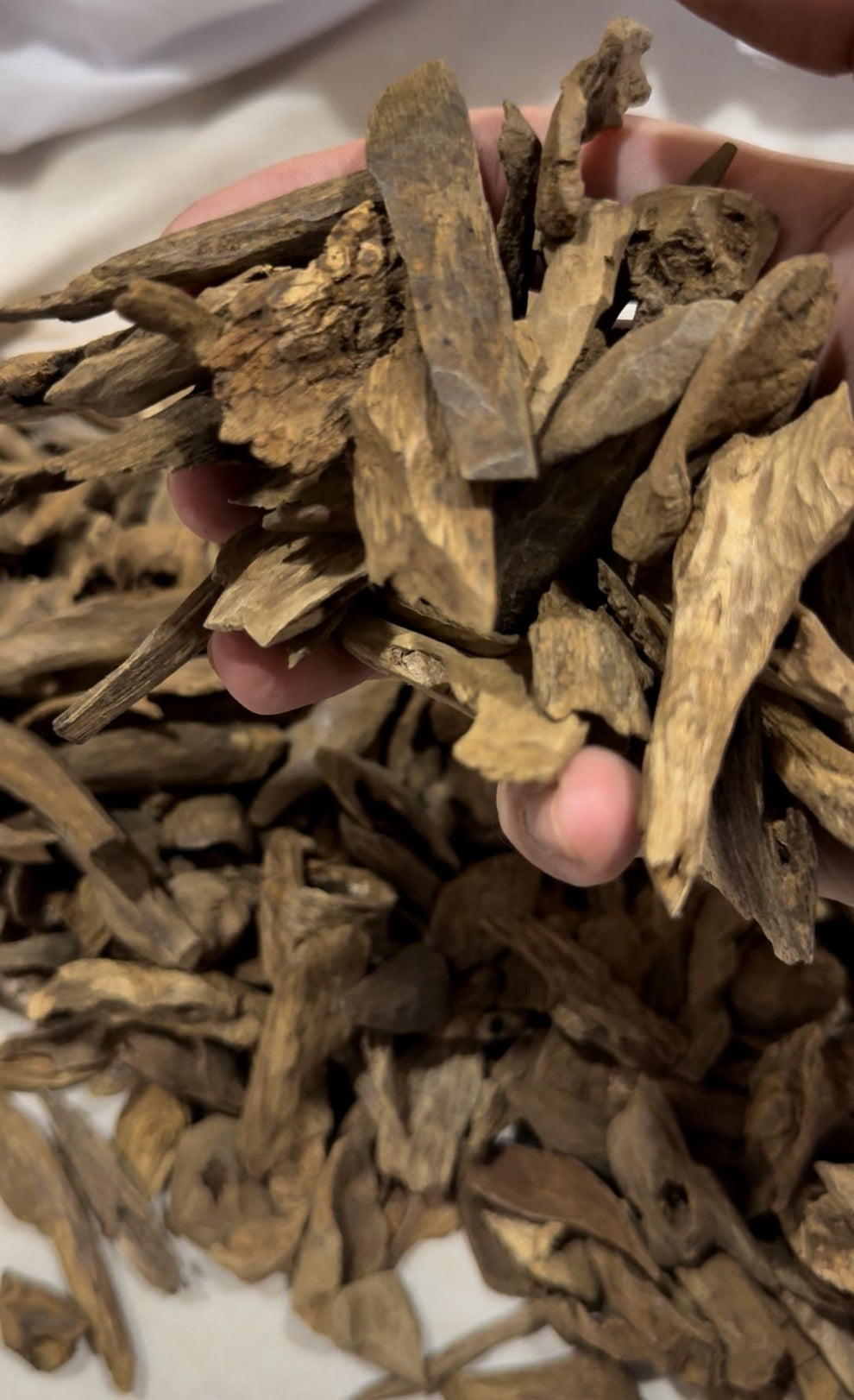 OUD PHILIPPINES – OUDH MADINA